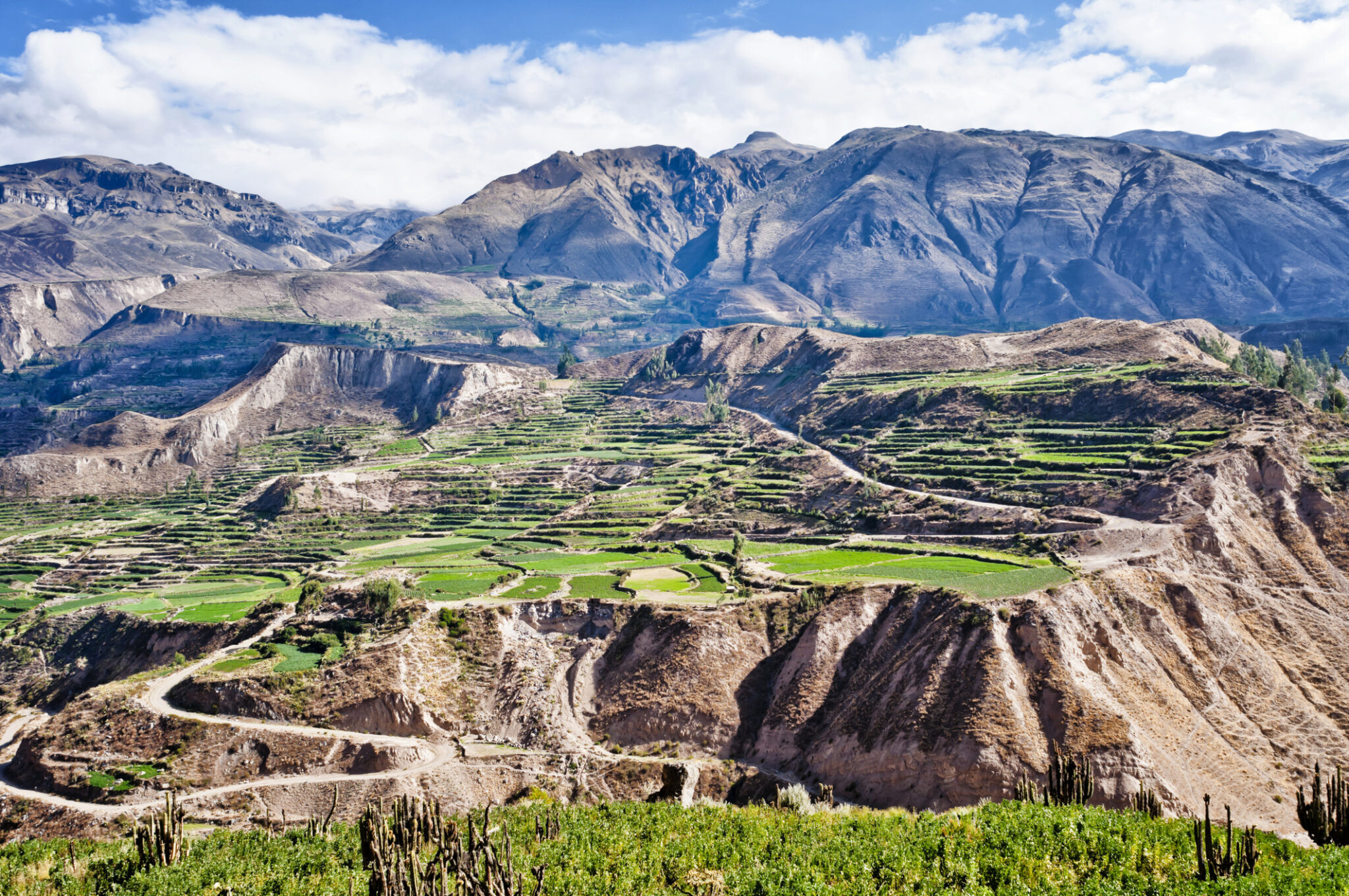 Colca Canyon & Valley Tour - Into Peru
